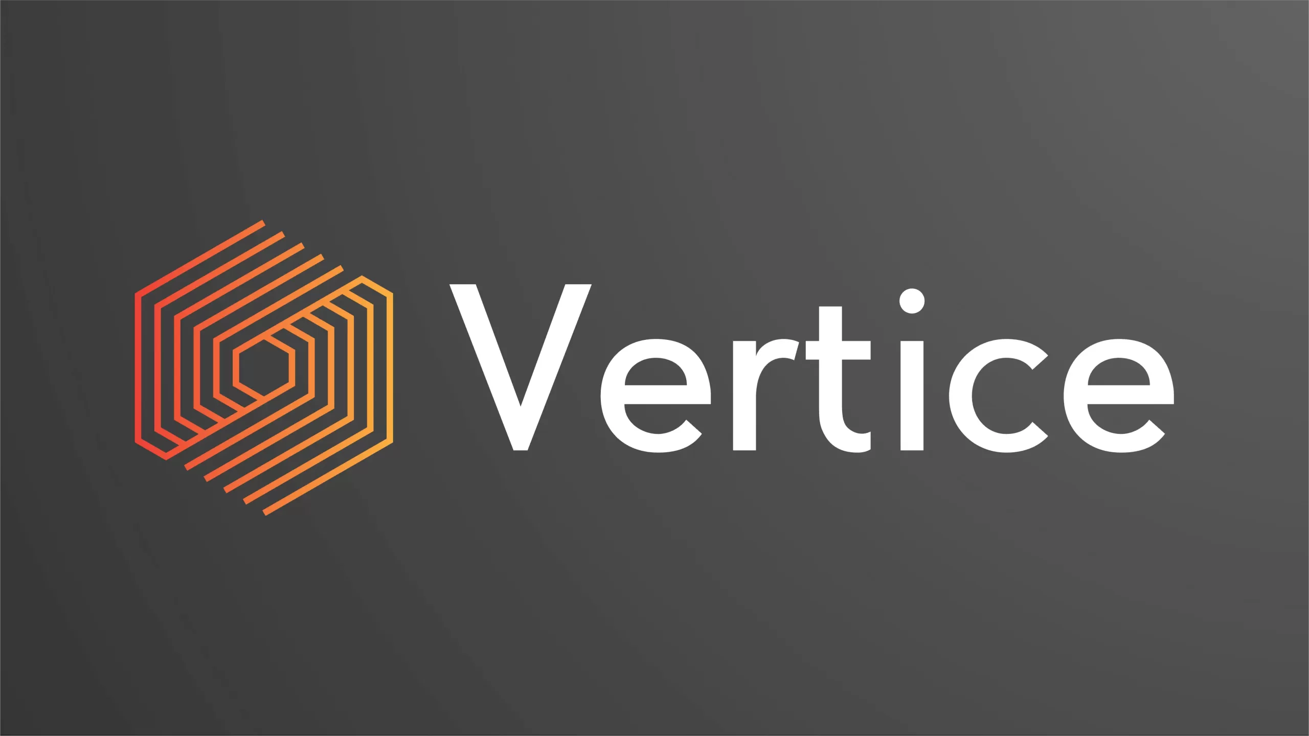 Customer. Data. Solutions. - Vertice