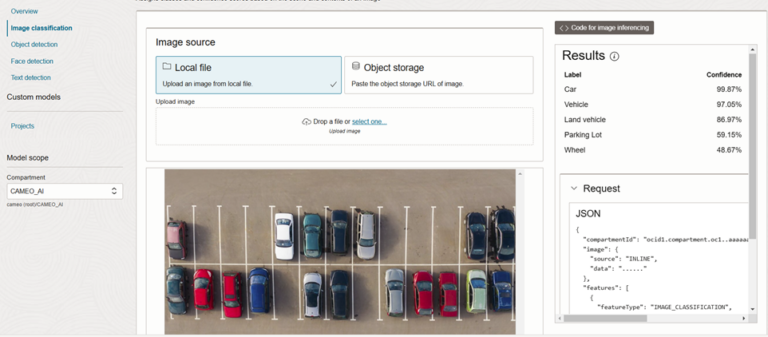 Oracle Vision: Harnessing Pre-Trained Models for Smarter Insights - Vertice