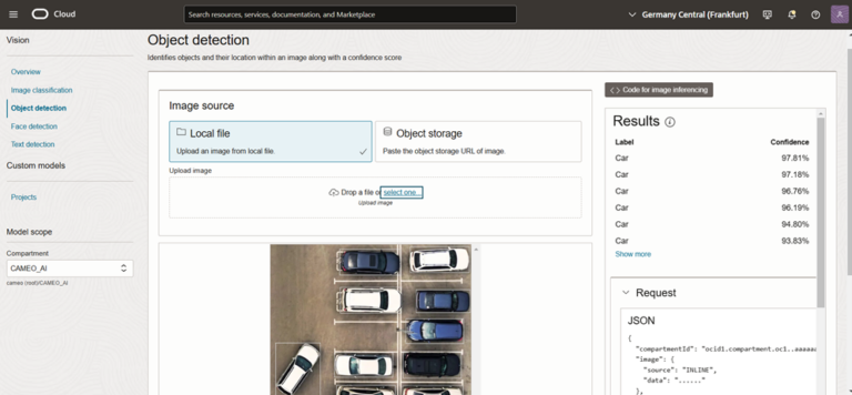 Oracle Vision: Harnessing Pre-Trained Models for Smarter Insights - Vertice